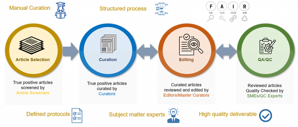 Services | Curadigm Datalytics